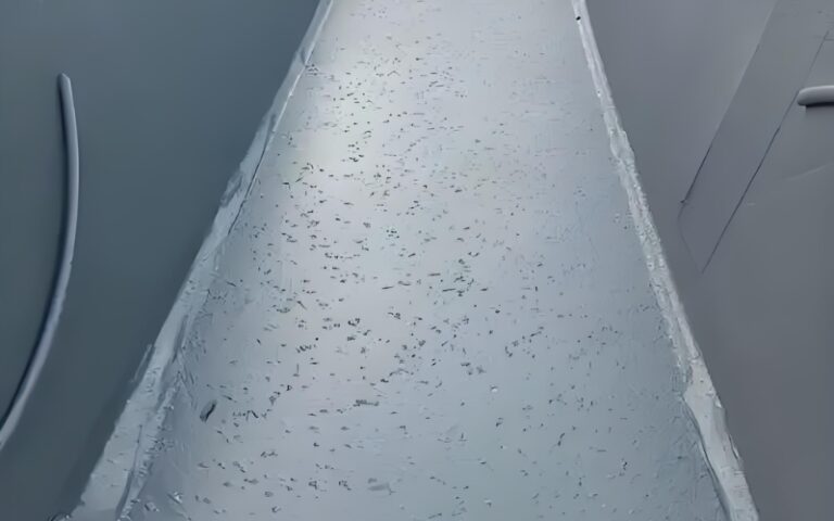 Coating Defects Of Galvanized Steel: Types And Solutions - SteelPRO Group